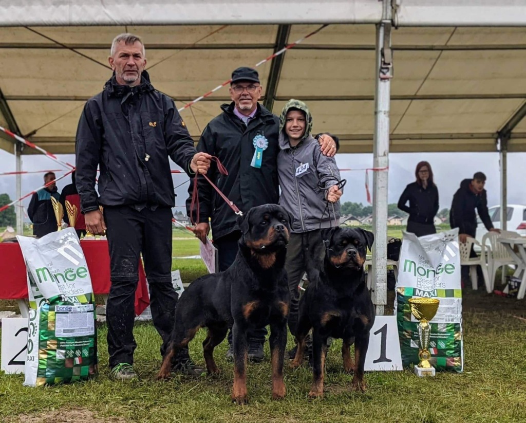 U’Veljko Flash Rouse – Guardian Rottweilers