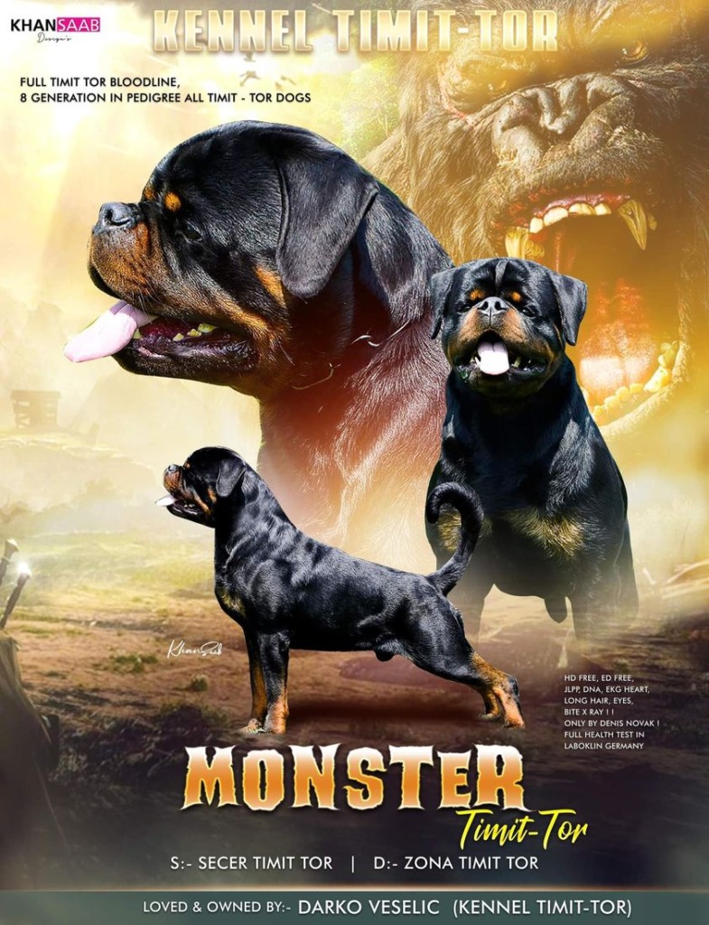 Monster Timit-Tor – Guardian Rottweilers